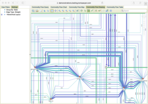 Simplifying Commodity Flows with Tom Sawyer Perspectives