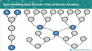 Graphs Are Feeding the World
