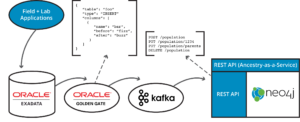 Oracle RDBMS + Neo4j: Fully Sync Relational and Graph Data