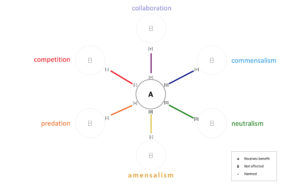 7VORTEX: Systems Thinking Powered by Graph Technology