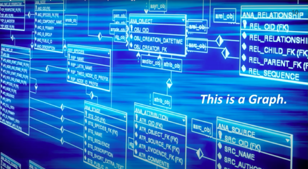 Your Roadmap for an Enterprise Graph Strategy