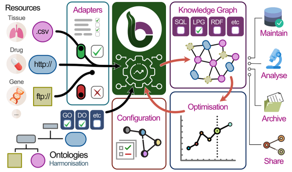 BioCypher: Unifying Framework for Biomedical Knowledge Graphs