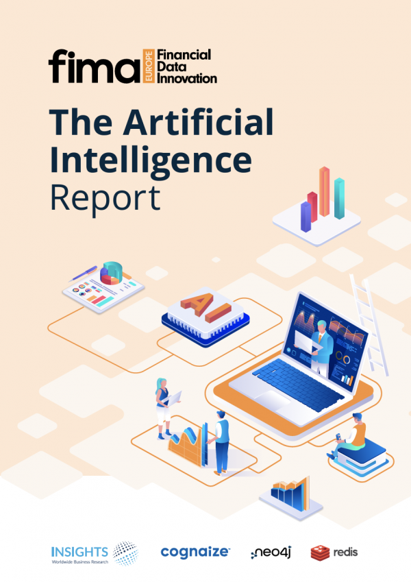 FIMA Artificial Intelligence Report