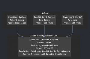 What Is Entity Resolution?