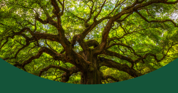 Top 10 Graph Database Use Cases (With Real-World Case Studies) - Graph ...