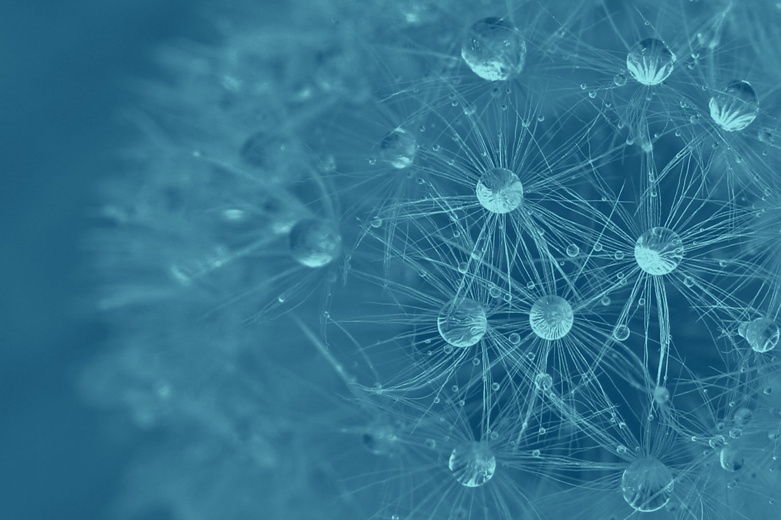 Codebase Knowledge Graph: Code Analysis with Graphs