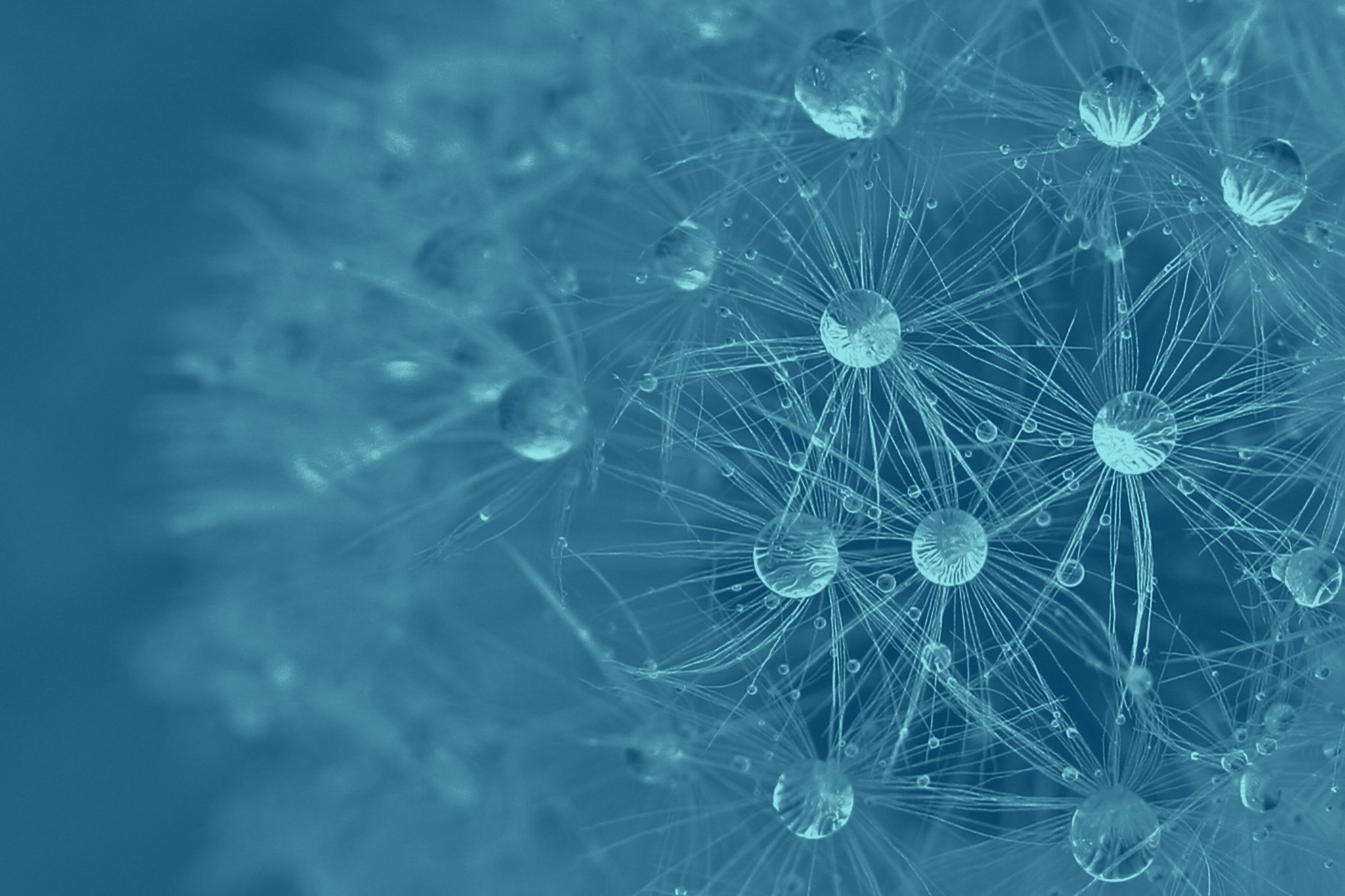 Graph Metadata Filtering to Improve Vector Search in RAG