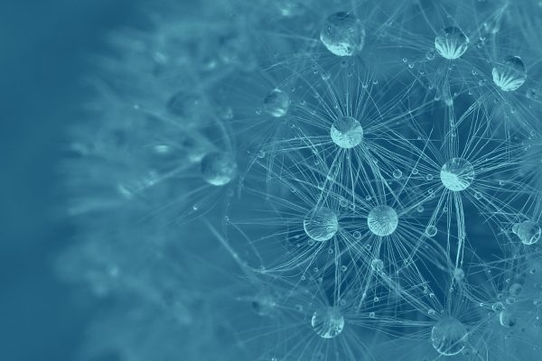 Graphiti: Knowledge Graph Memory for an Agentic World - Graph Database ...