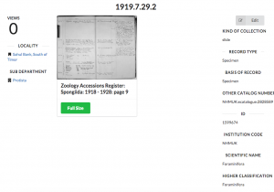 How to get your Neo4j Rails App up and running quickly